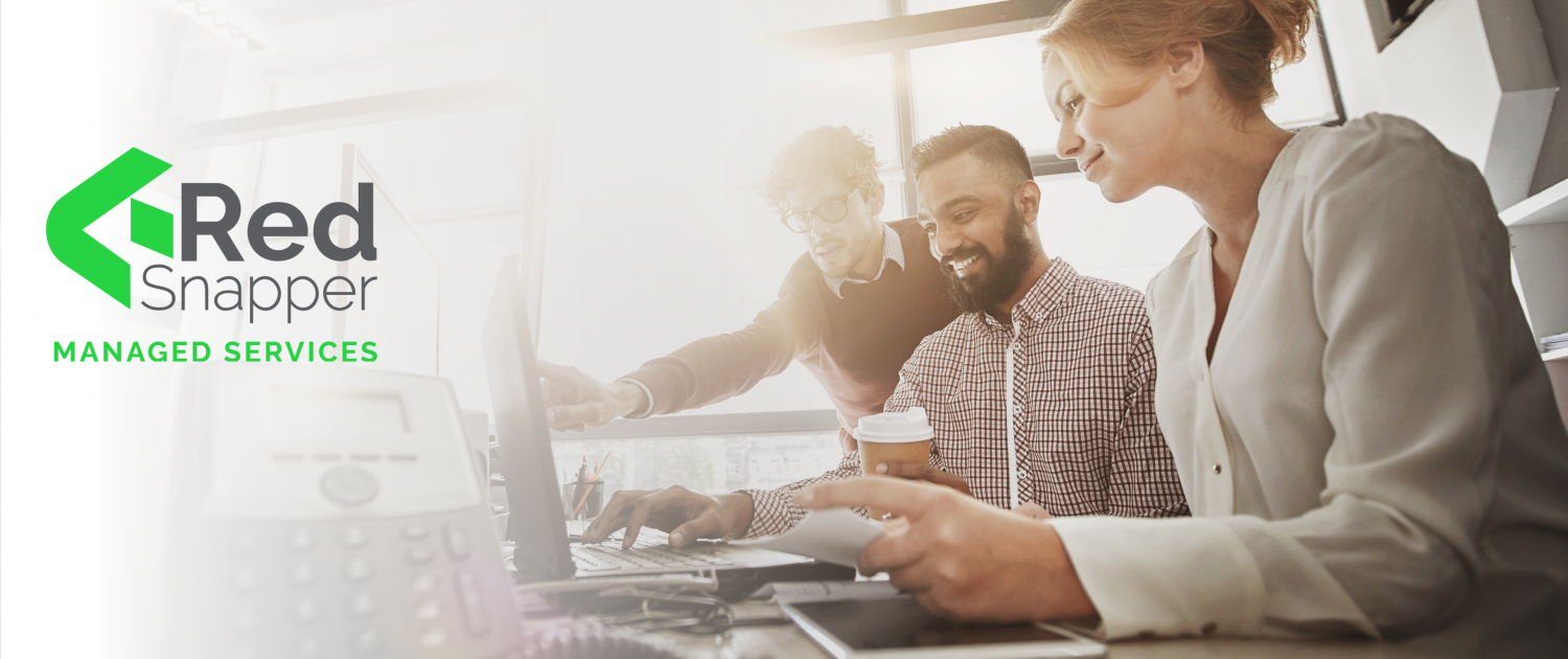 Red Snapper Group – Experts in Public Safety & Enterprise Security